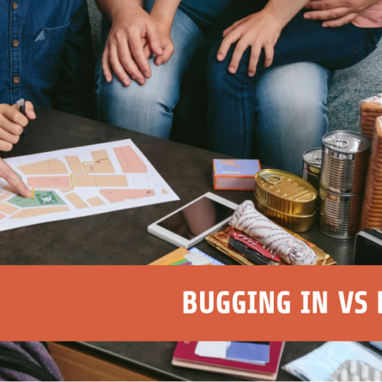 Bugging In Vs Bugging Out: Understanding Survival Strategies - Ultimate ...